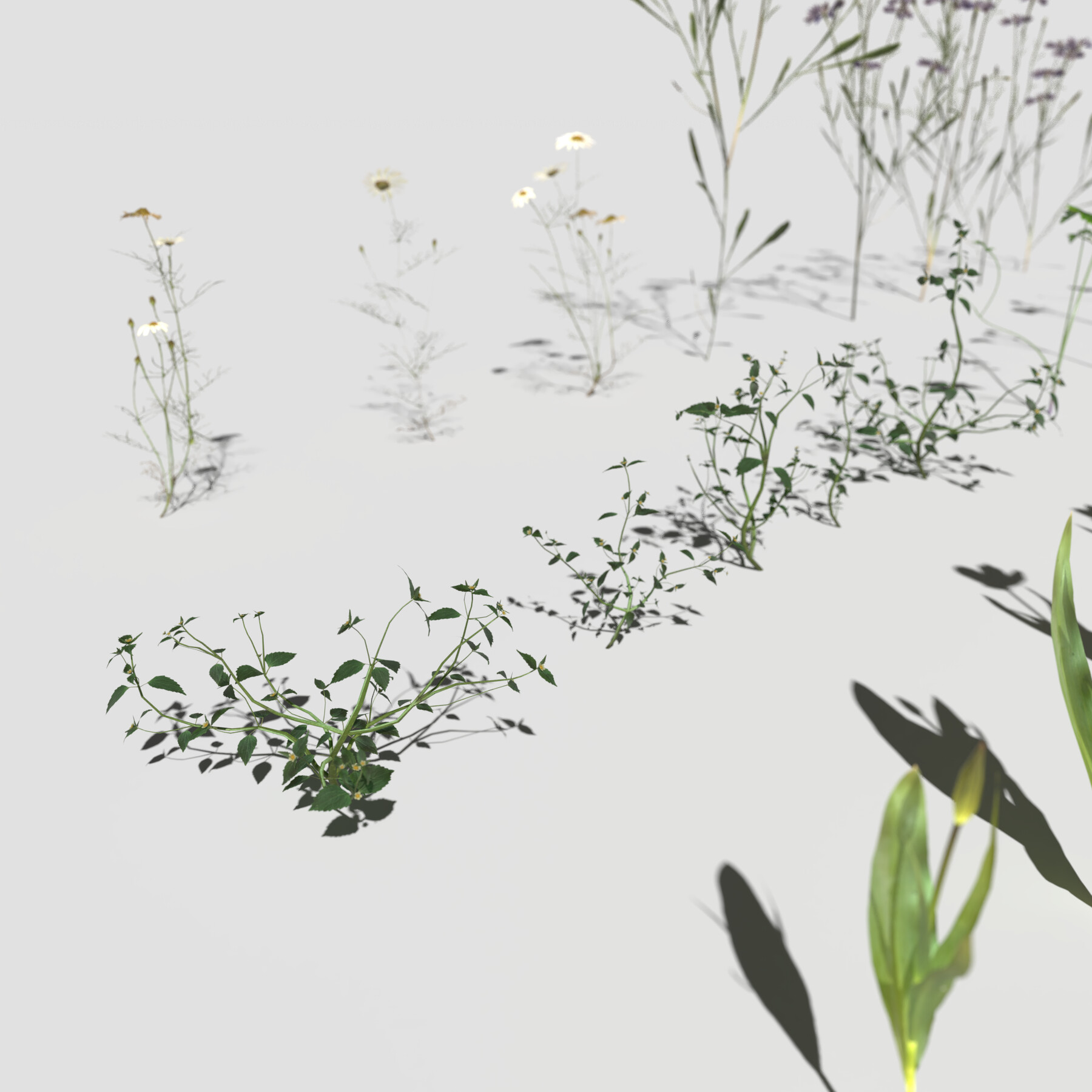 ArtStation - Wild Flower Plant Pack | Resources