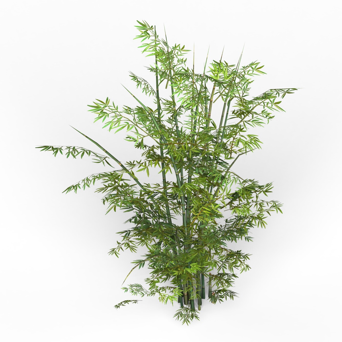 ArtStation - Bamboo Tree 01 | Resources