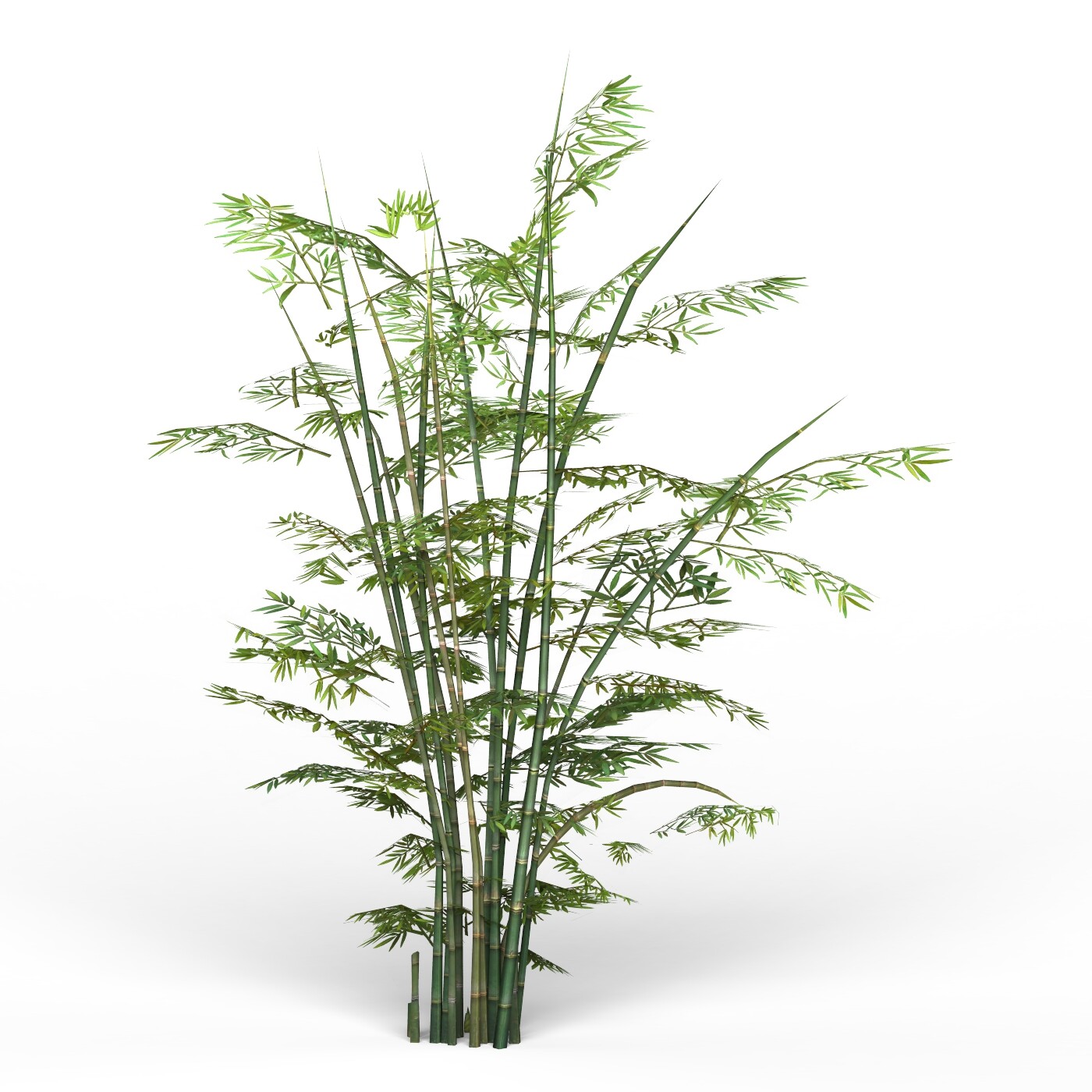 ArtStation - Bamboo Tree 01 | Resources