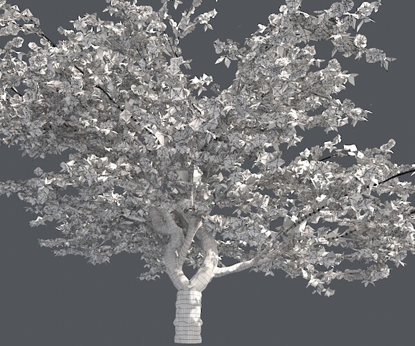 ArtStation - Cherry Blossoms Tree | Resources