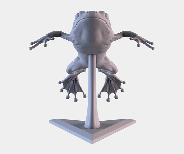 ArtStation - Frog 3D Printing | Resources