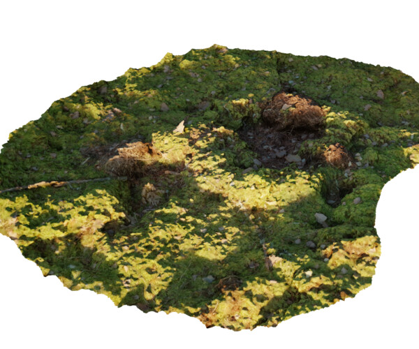 ArtStation - Bumpy mossy ground with patches | Resources