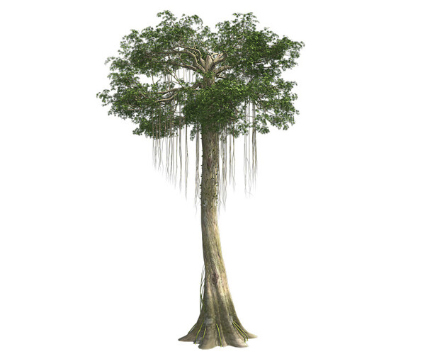 ArtStation - Kapok Tree | Resources