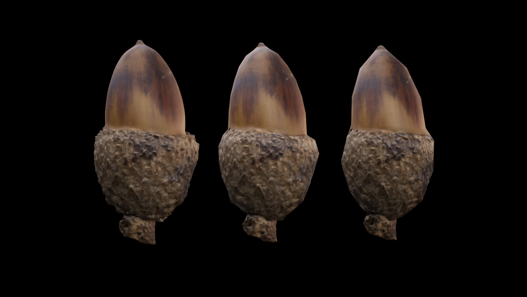 ArtStation - Acorn 4K Photoscanned | Game Assets