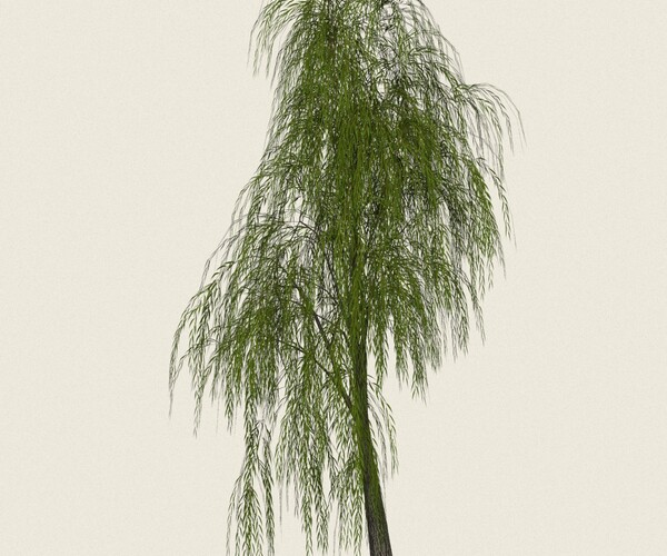 ArtStation - Willow Tree Collection | Resources