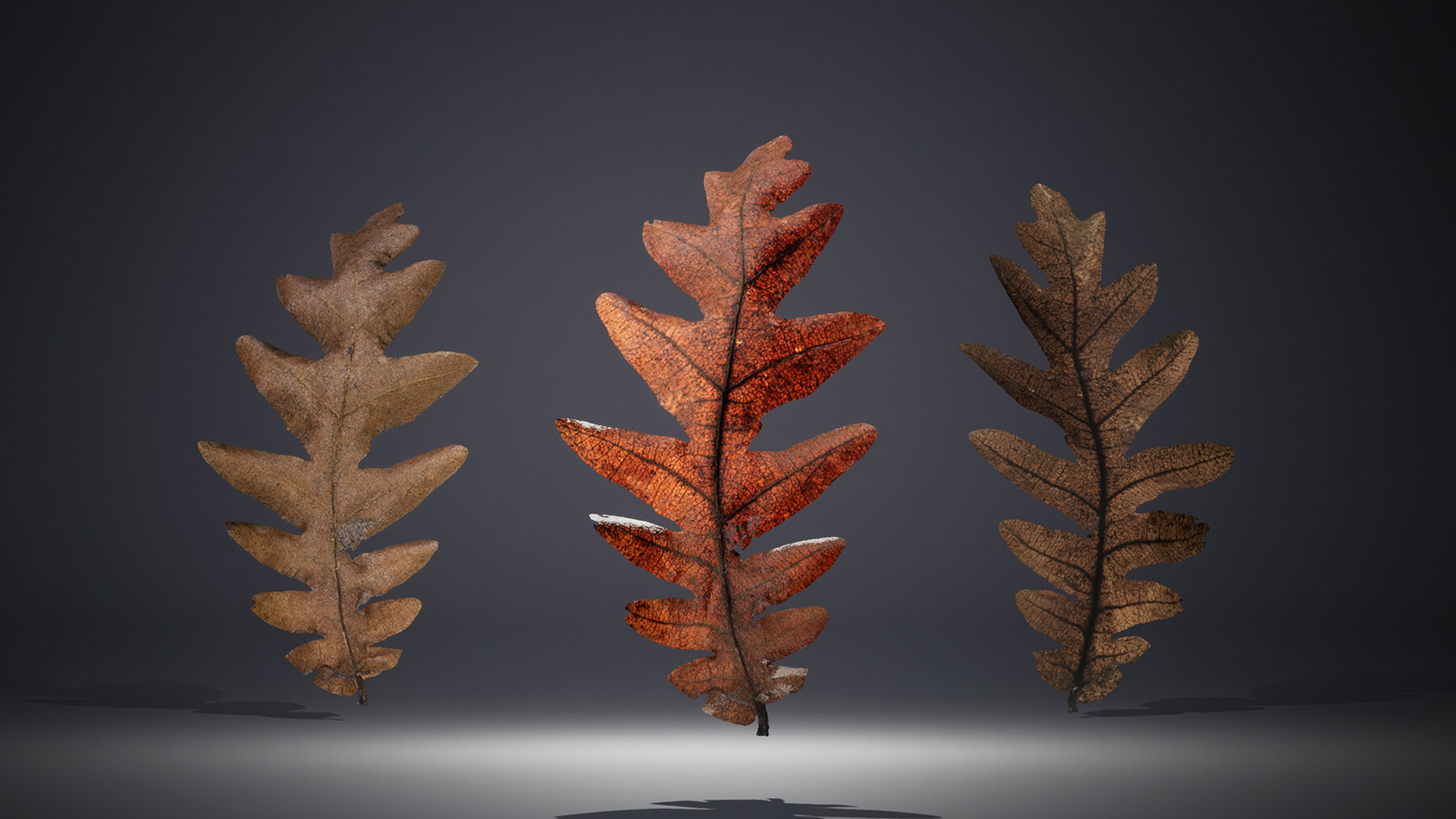 ArtStation - Leaf Pack Scanned | Game Assets