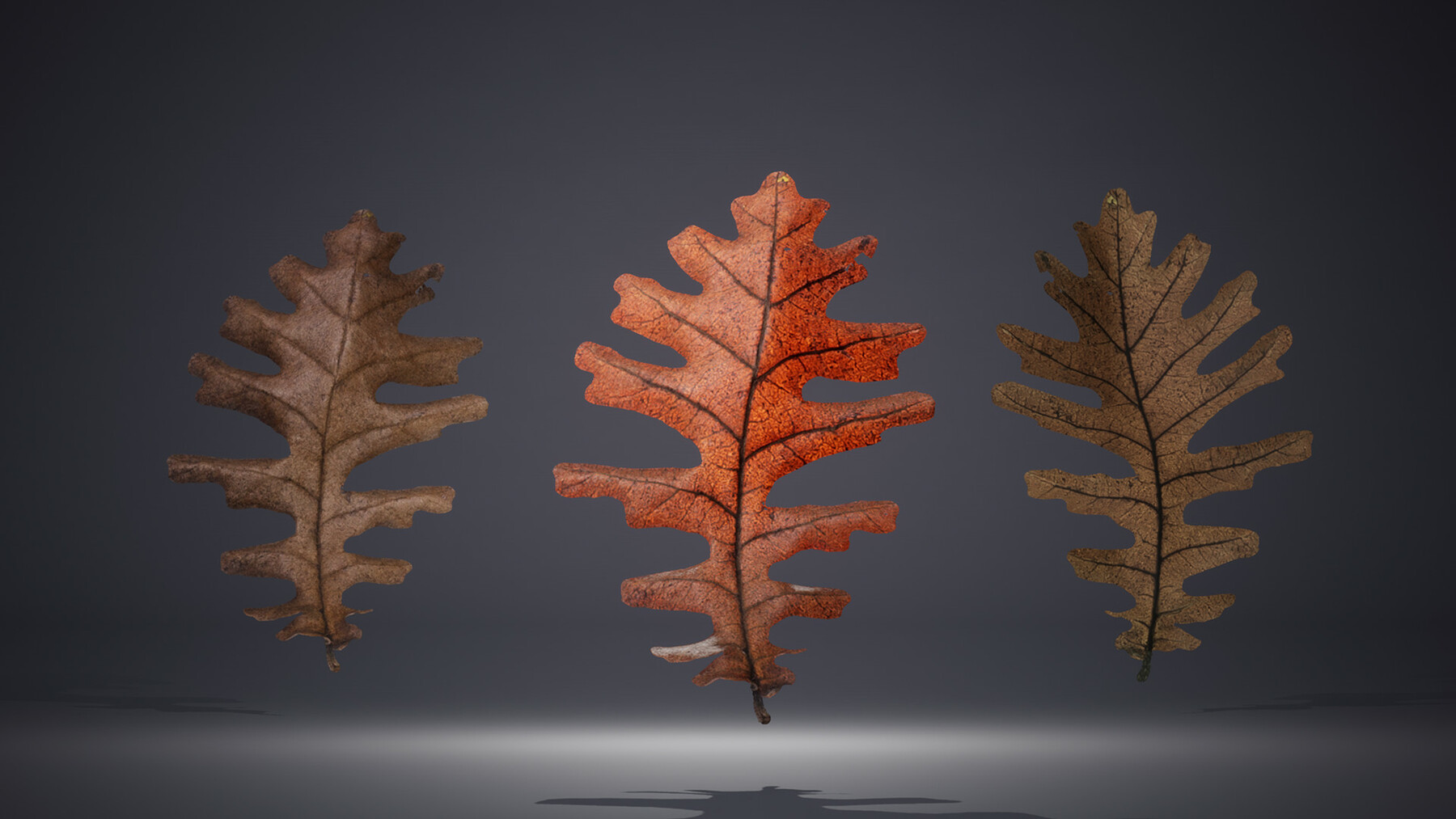 ArtStation - Leaf Pack Scanned | Game Assets