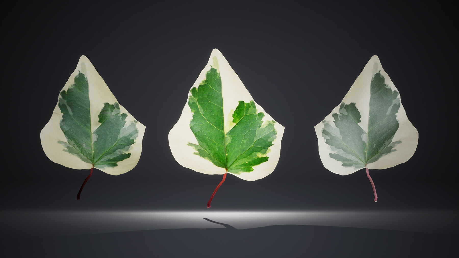 ArtStation - Leaf Pack Scanned | Game Assets