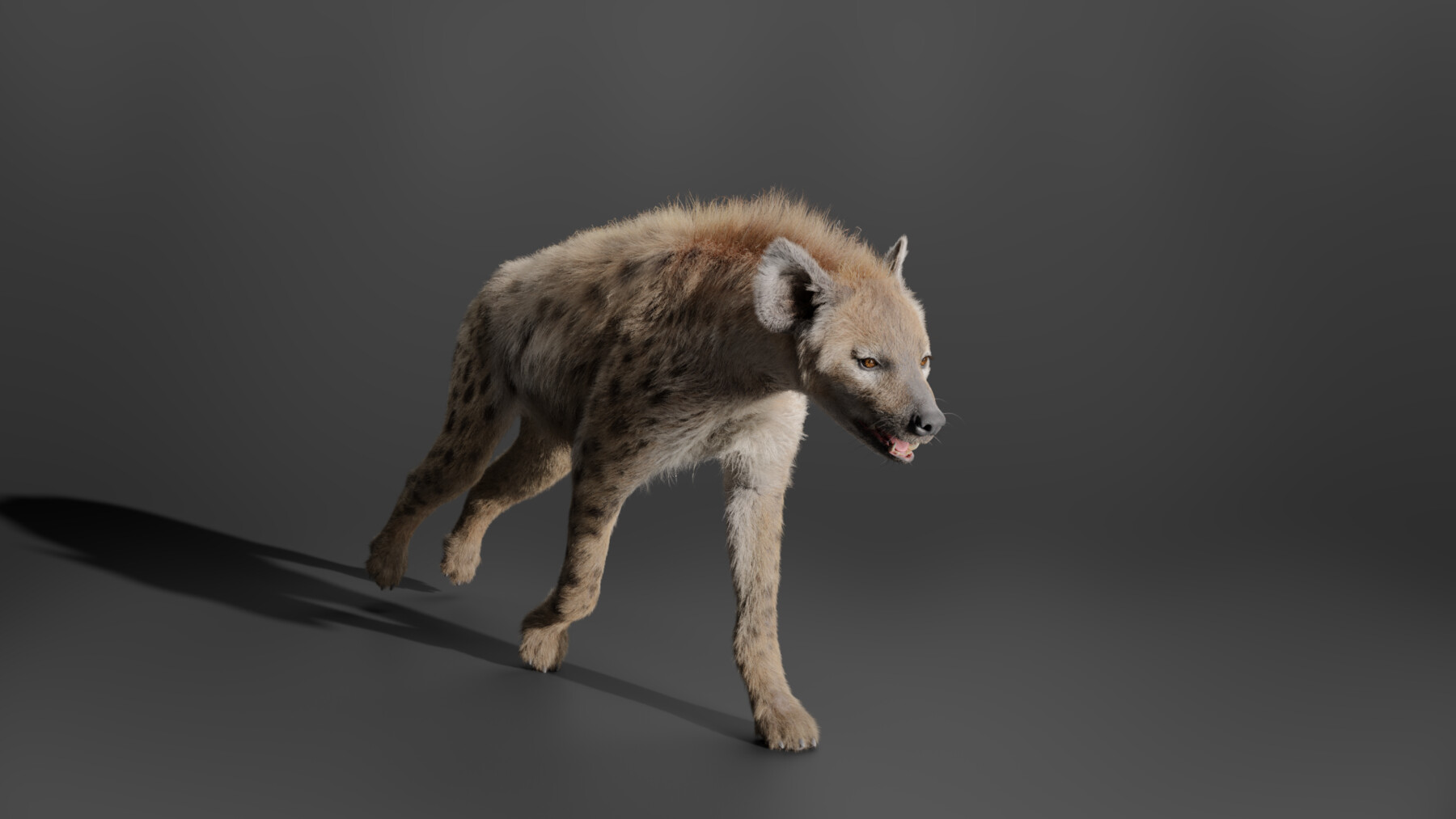 ArtStation - 3D Animal | Spotted Hyena Animated | Resources