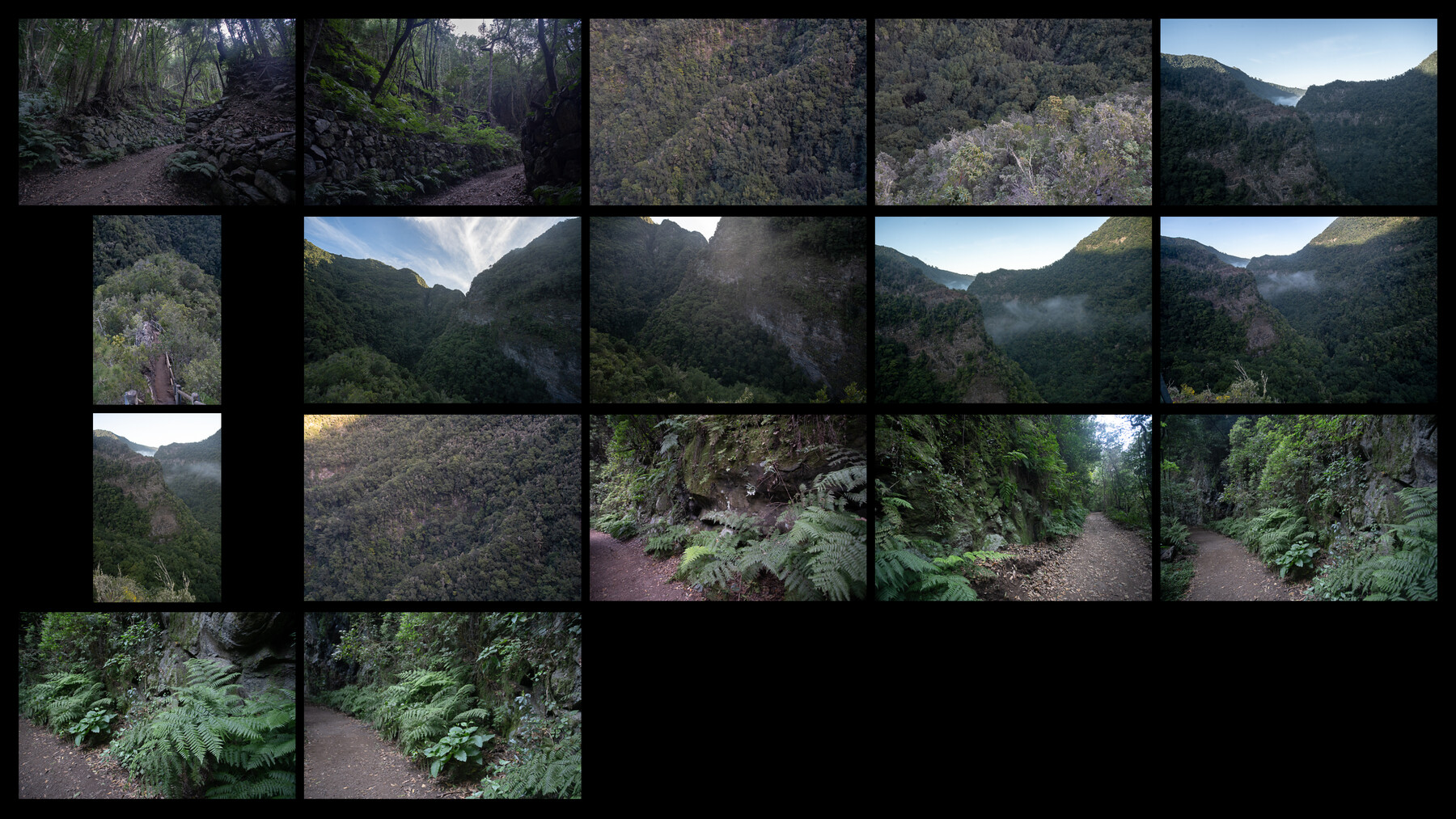 ArtStation - Mystical Valley Reference Pack | Resources