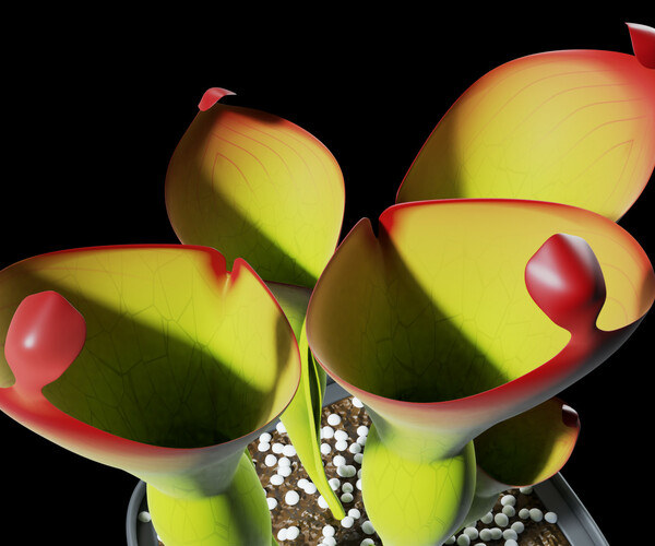 ArtStation - 3D Sun pitchers | Resources