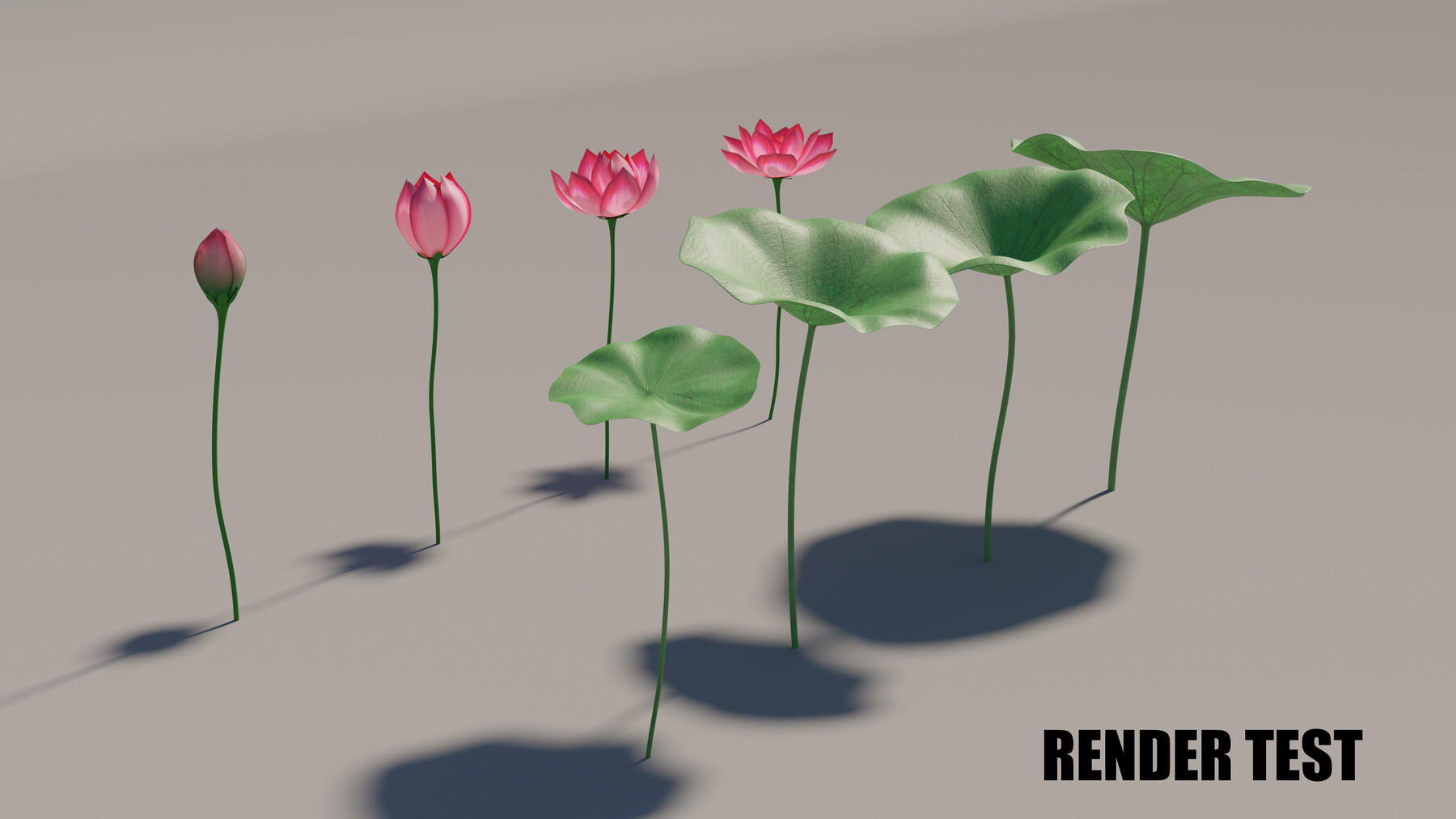 ArtStation - Realistic Lotus model | Resources