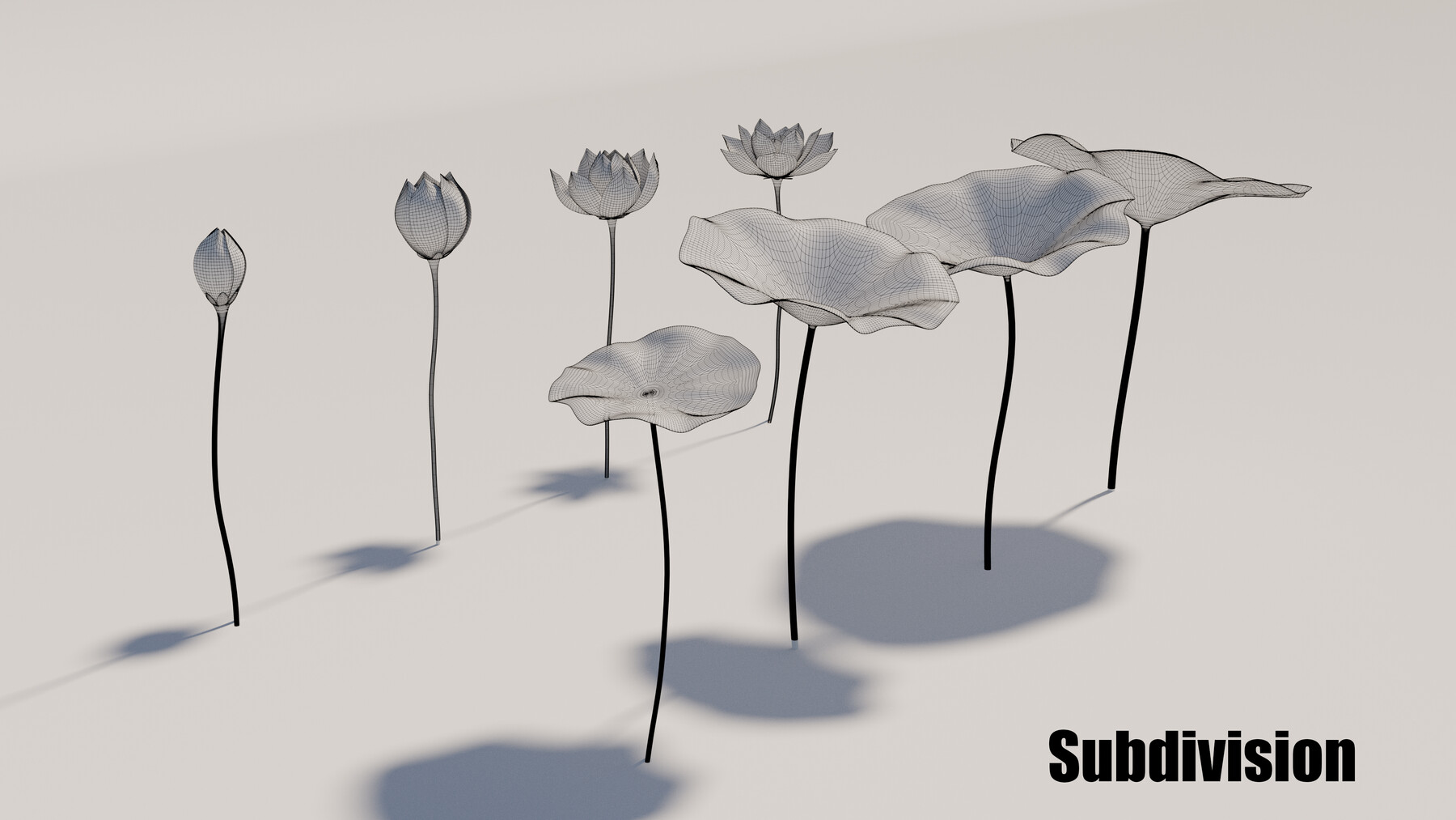 ArtStation - Realistic Lotus model | Resources
