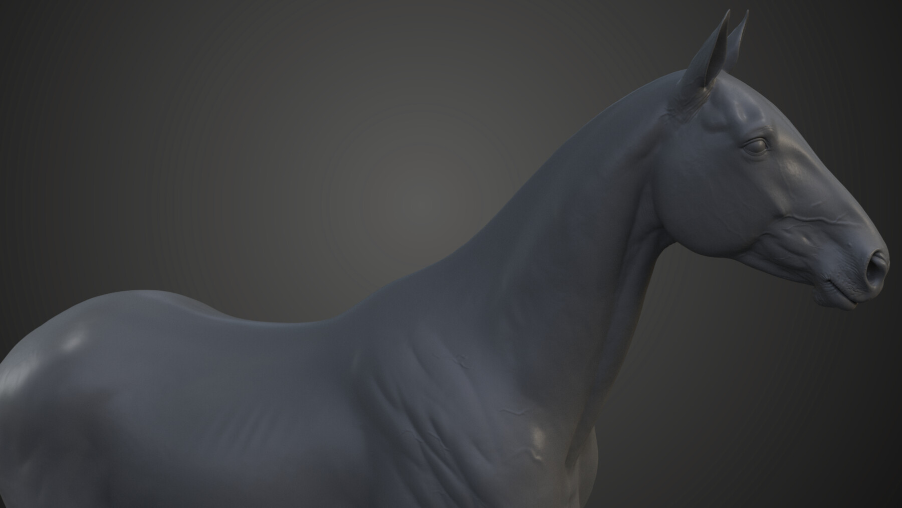 ArtStation - 3D Animal | Horse Model | Resources