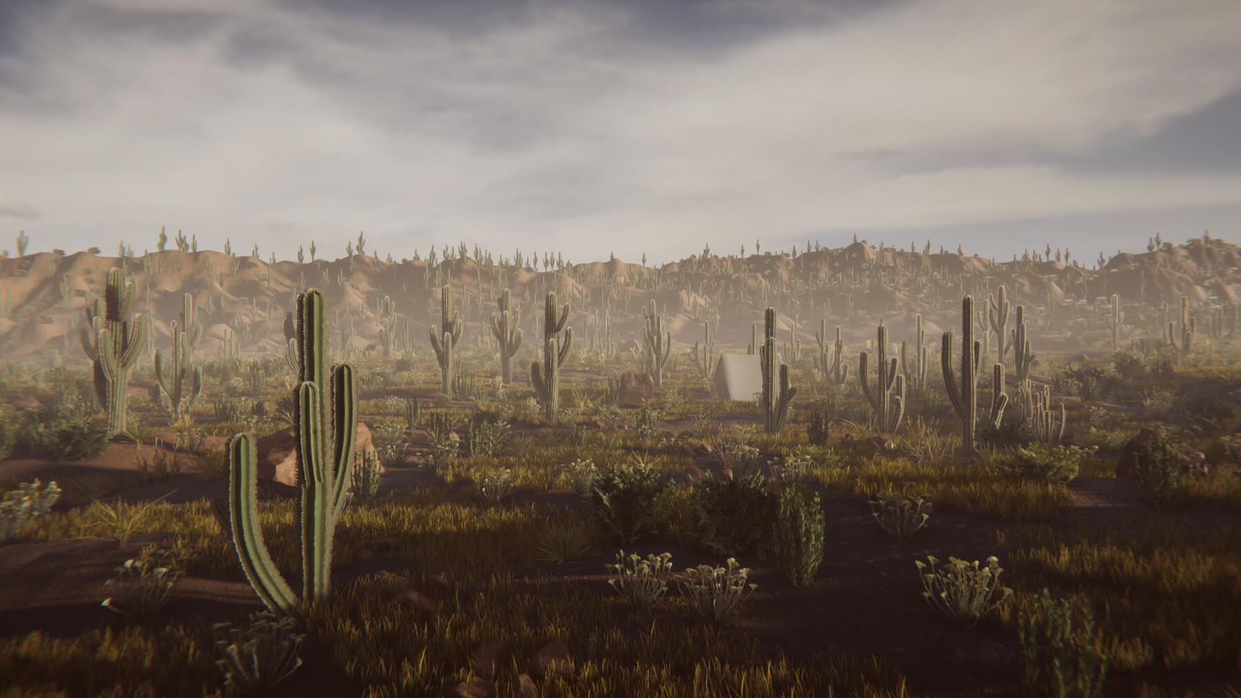 ArtStation - Cactus Package | Game Assets