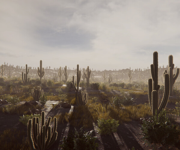 ArtStation - Cactus Package | Game Assets