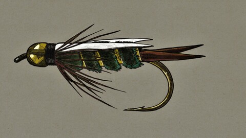 ArtStation - Prince Nymph fly pattern | Artworks