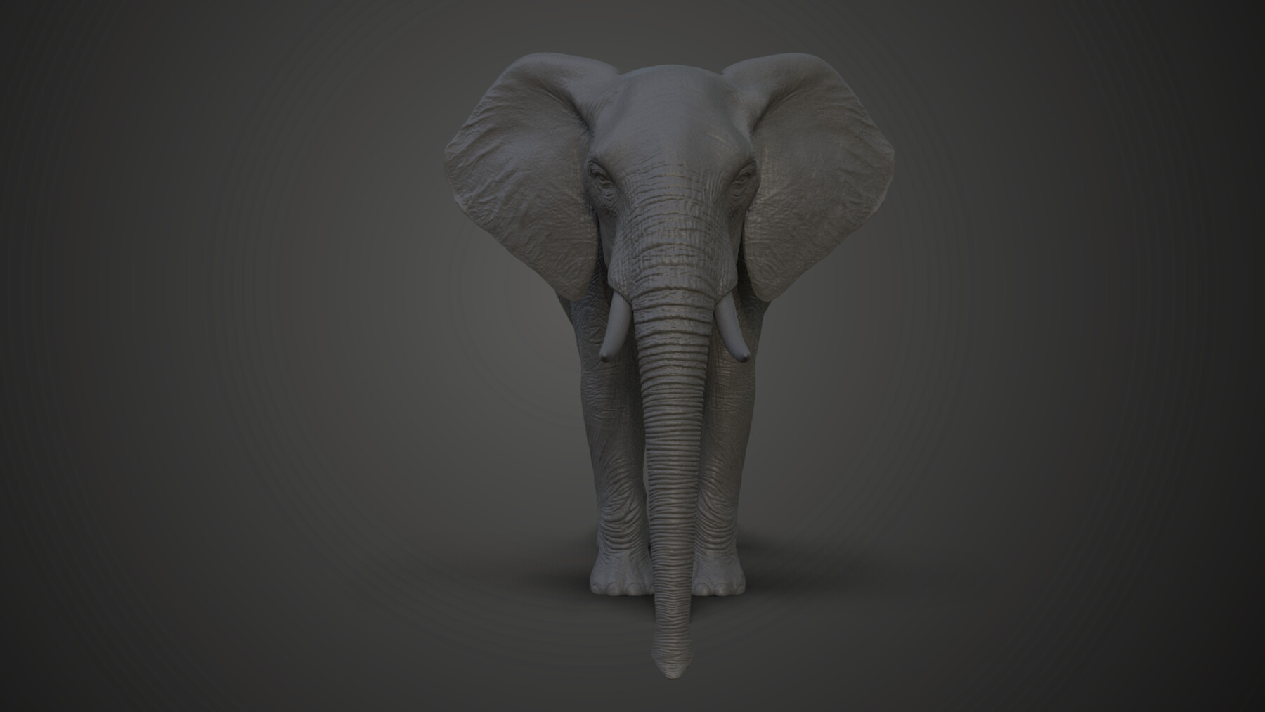 ArtStation - 3D Animal | African Elephant | Resources