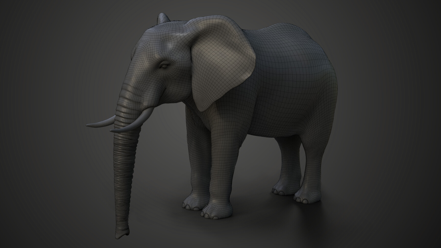 ArtStation - 3D Animal | African Elephant | Resources