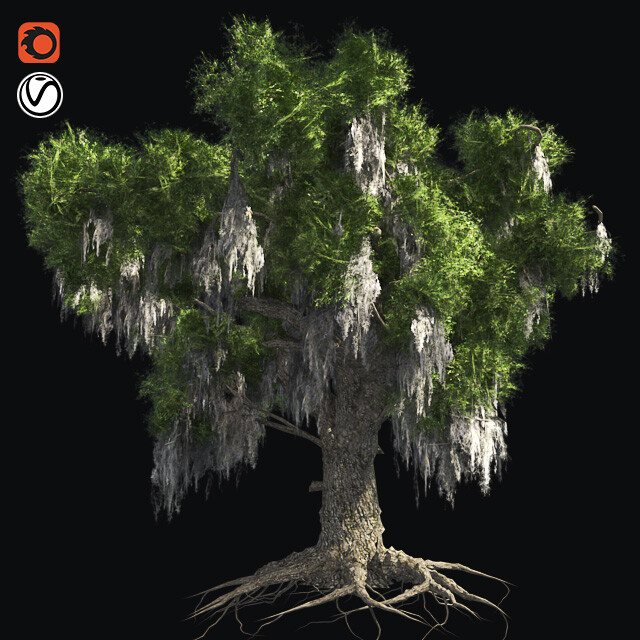 ArtStation - Live Oak Tree | Game Assets