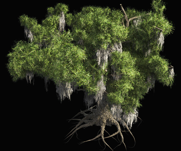 ArtStation - Live Oak Tree | Game Assets