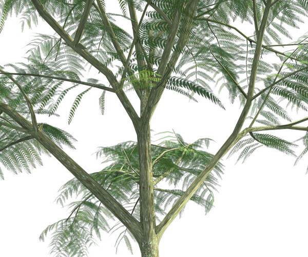 ArtStation - Mimosa Tree | Resources