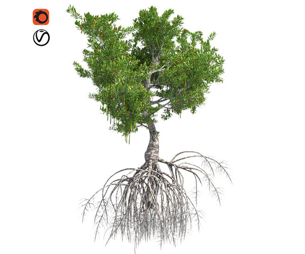 ArtStation - Red Mangrove Tree | Game Assets