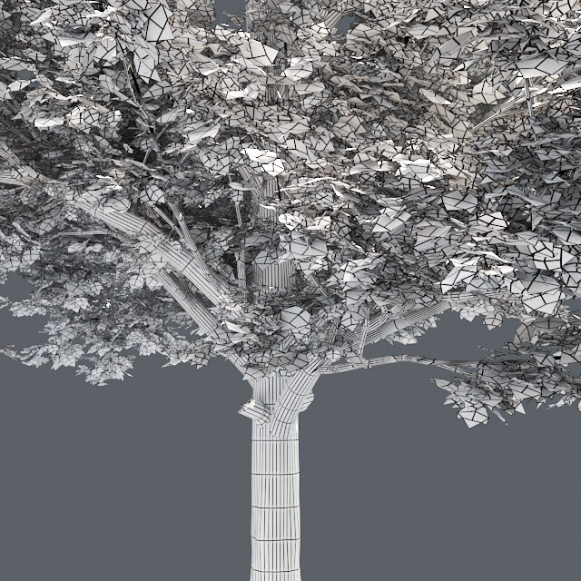 ArtStation - Red Maple Tree | Resources