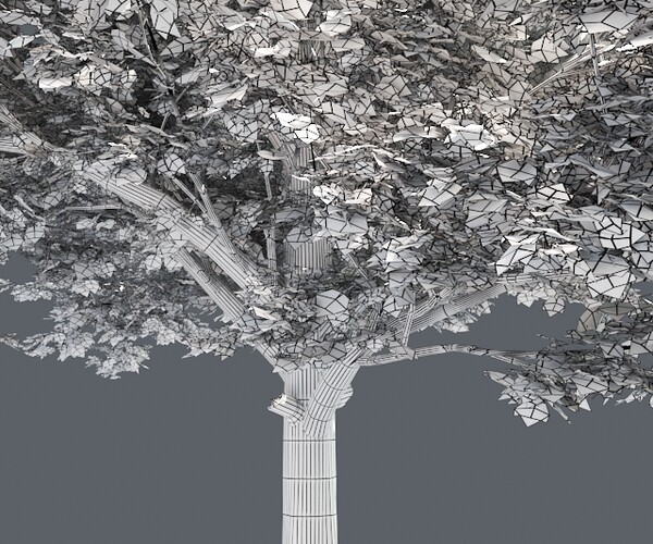 ArtStation - Red Maple Tree | Resources