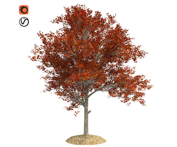 ArtStation - Red Maple Fall Tree | Resources