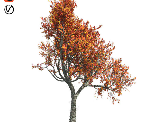 ArtStation - Red Oak Fall Tree | Game Assets