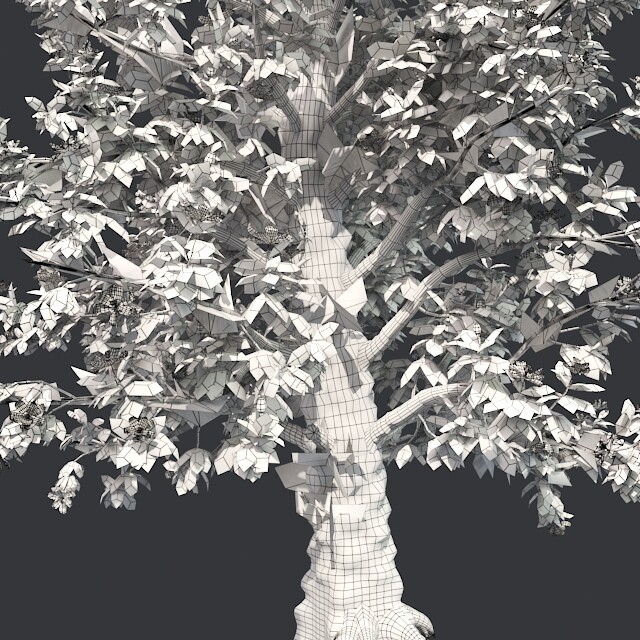 ArtStation - Southern Magnolia Flowers Tree | Resources