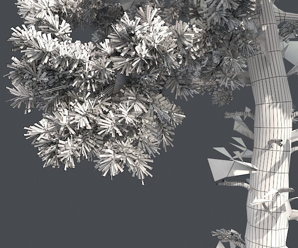 ArtStation - Loblolly Pine Tree | Resources