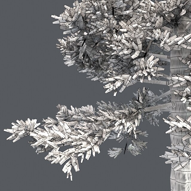 ArtStation - Western Red Cedar Tree | Game Assets