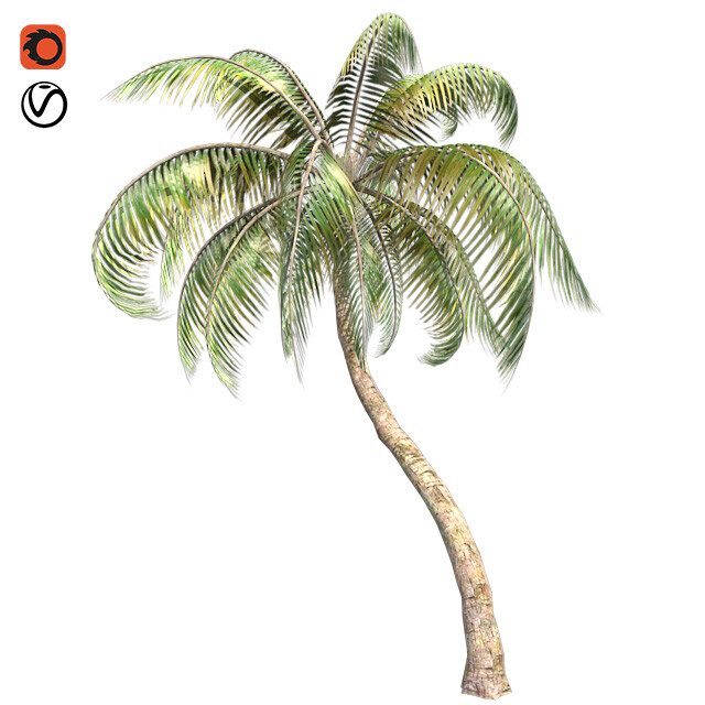 ArtStation - Palm coconut Tree | Game Assets