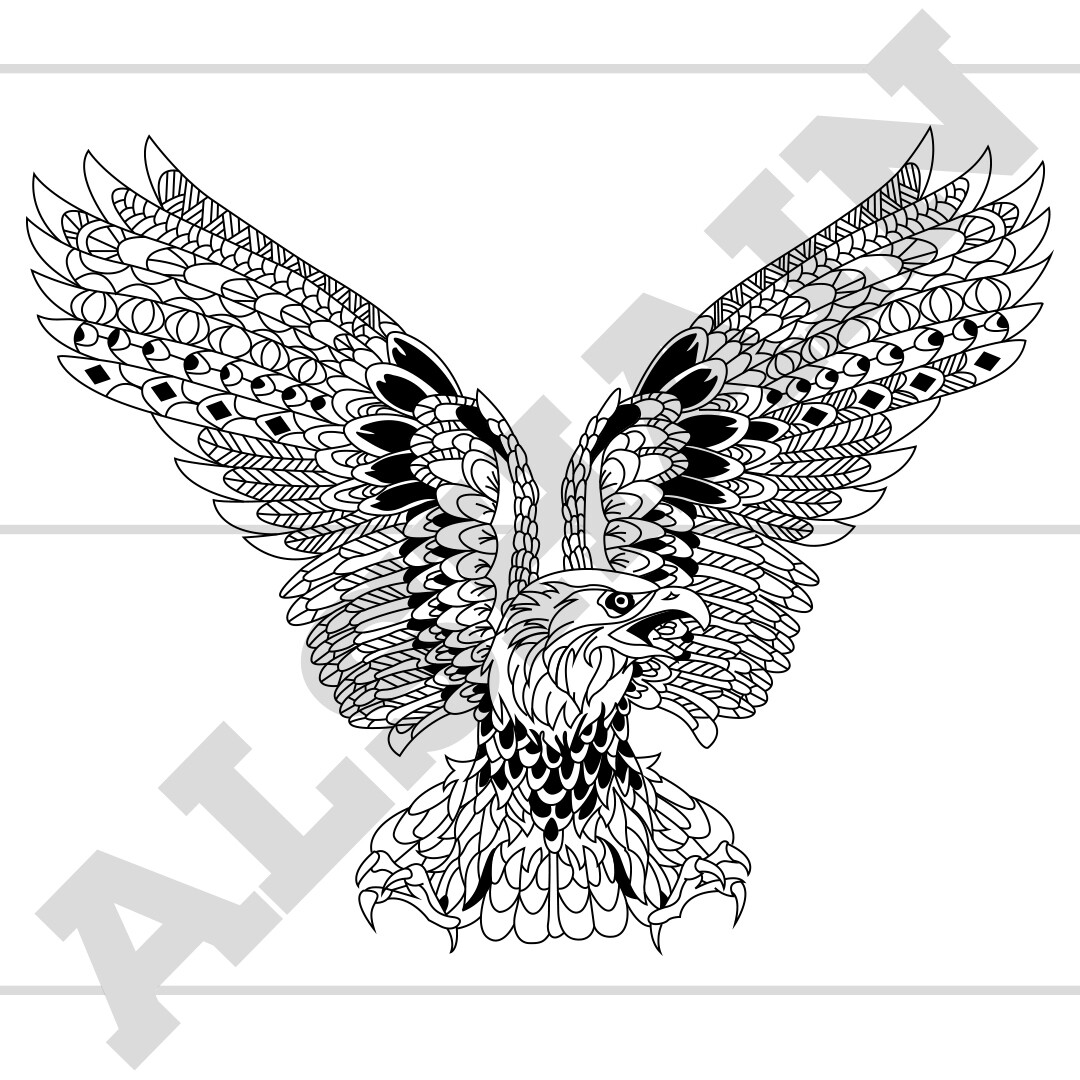 ArtStation - Eagle Vector Draw, Illustrator | Artworks