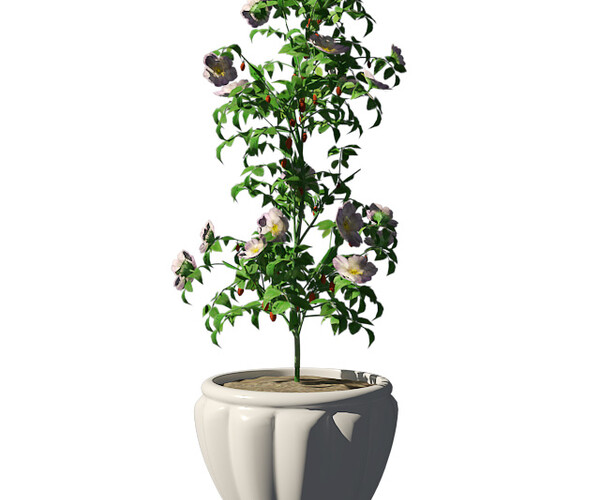 ArtStation - Dog Rose in Pot | Game Assets