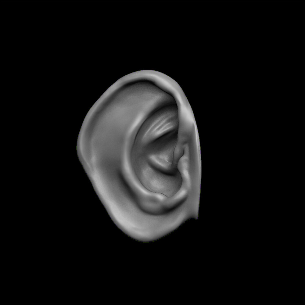 ArtStation - ears 3D model with high poly and low poly | Game Assets