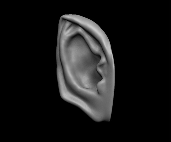ArtStation - ears 3D model with high poly and low poly | Game Assets