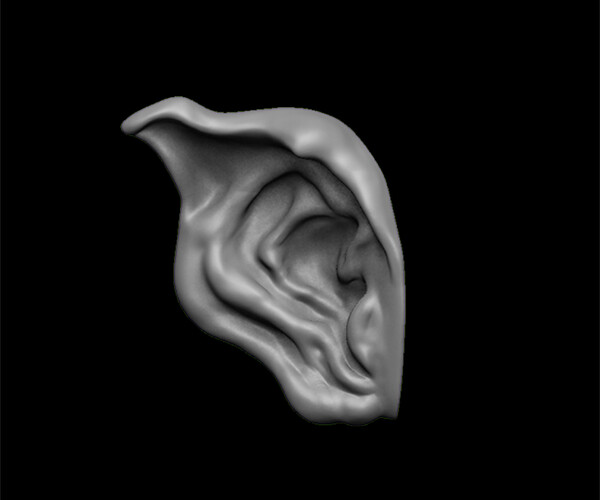 ArtStation - ears 3D model with high poly and low poly | Game Assets