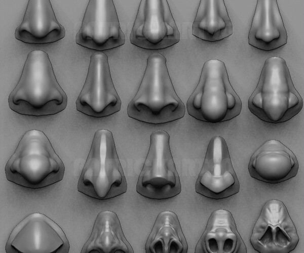 ArtStation - 20 Noses with high poly and low poly 3D model | Resources