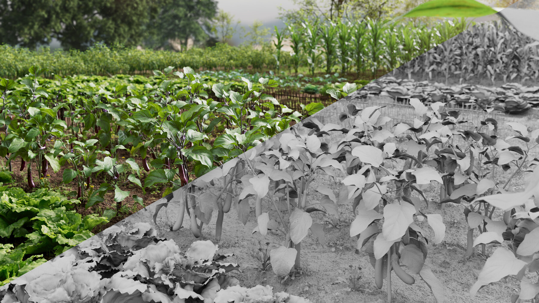 ArtStation - 3D Crop Collection | Resources