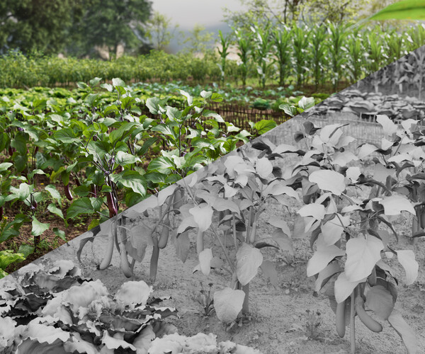 ArtStation - 3D Crop Collection | Resources