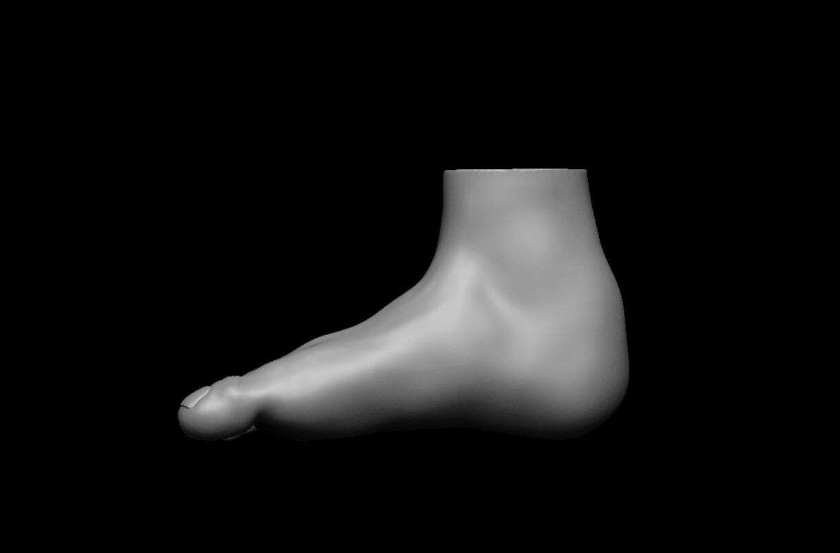 ArtStation - Free Foot highpoly | Resources