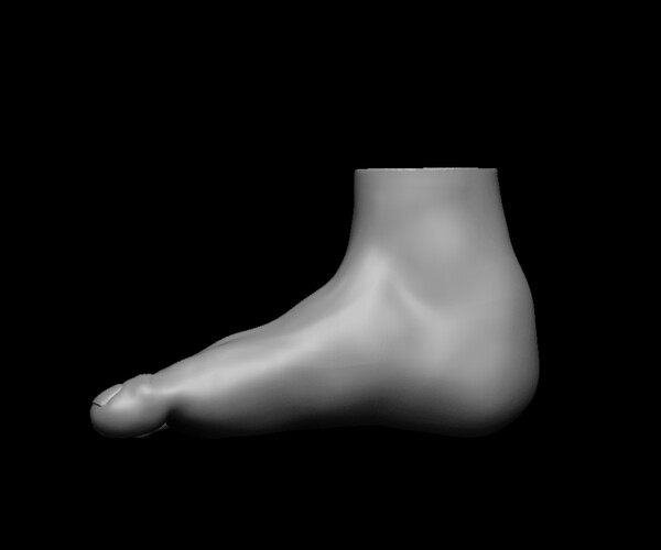 ArtStation - Free Foot highpoly | Resources