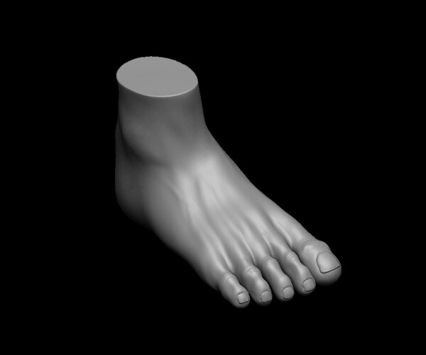 ArtStation - Free Foot highpoly | Resources