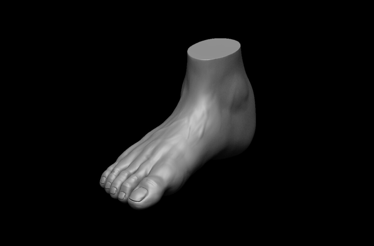 ArtStation - 4 different feet with high poly 3D model | Resources