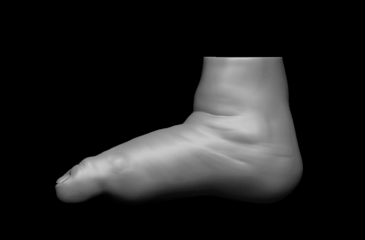 ArtStation - 4 different feet with high poly 3D model | Resources