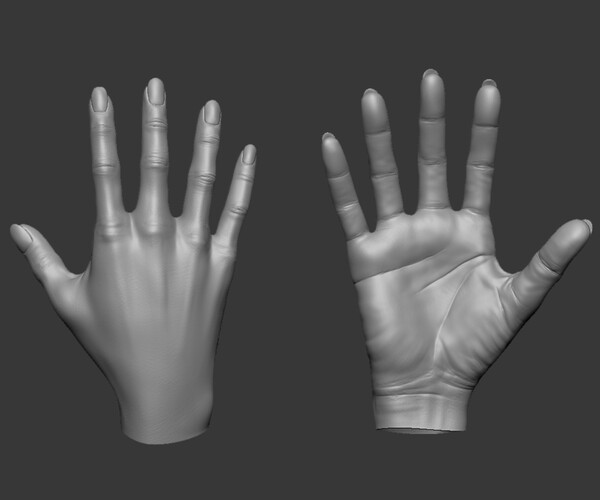 ArtStation - Female Hand 3D model | Resources
