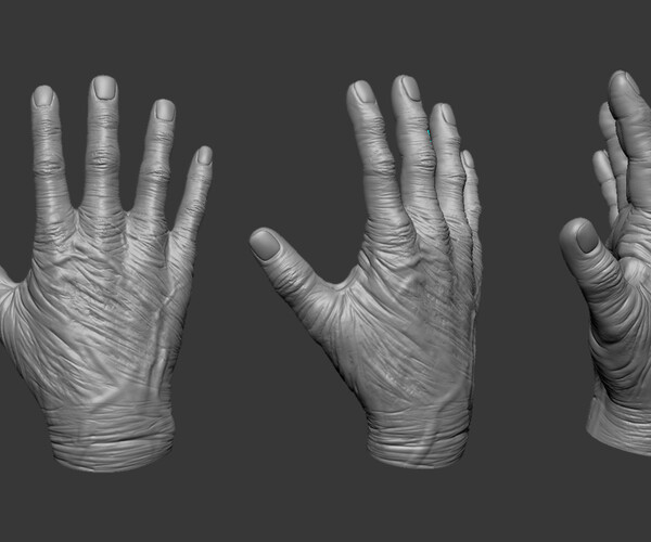 ArtStation - Old Human Hand 3D model | Resources